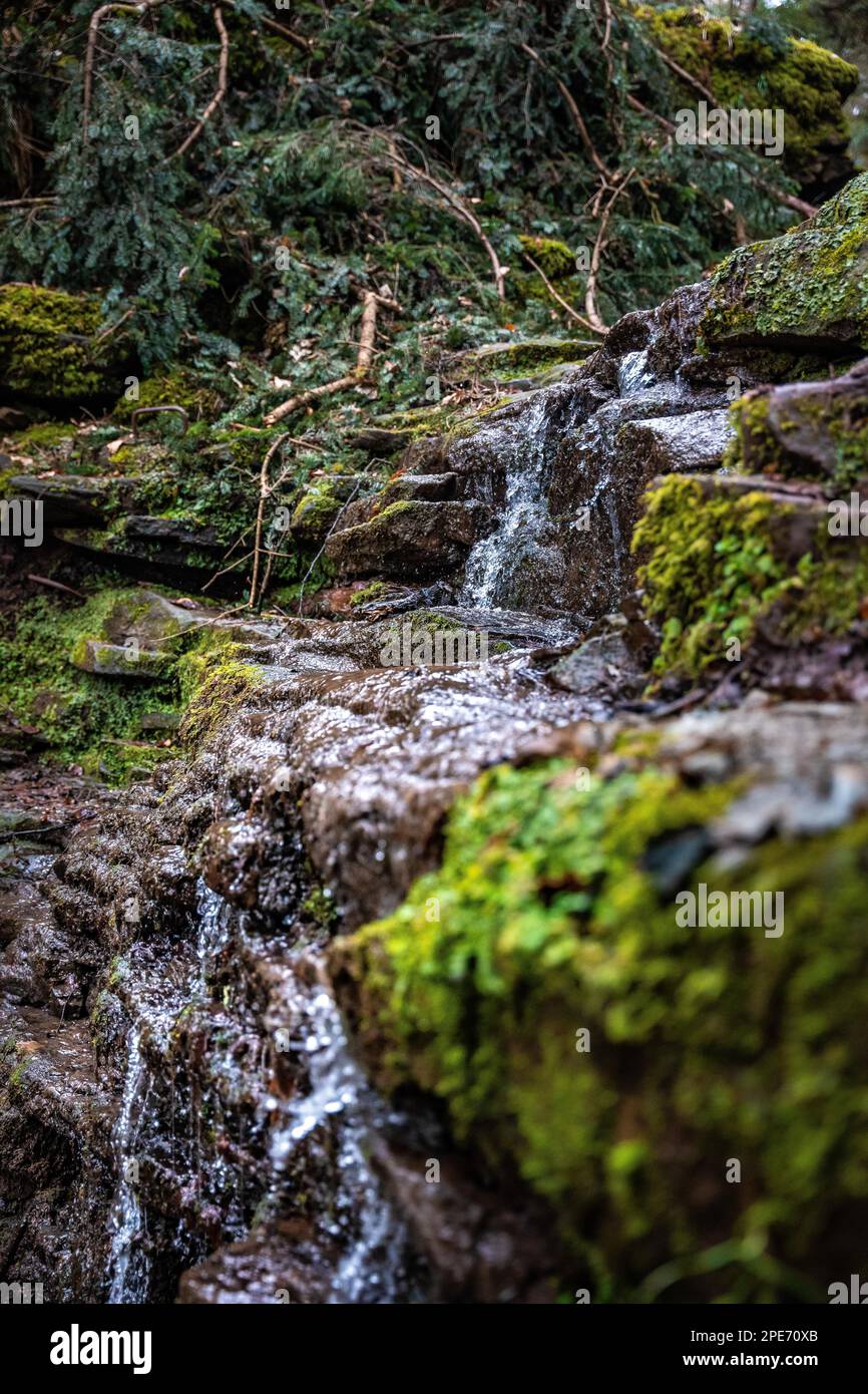 Small stream in the forest with waterfall, Black Forest, Xanderklinge ...