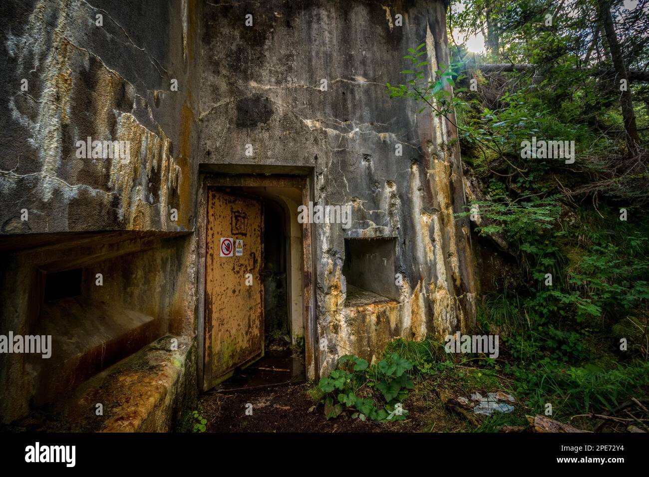 Abandoned, destoyed concrete bunker with embrasure in summer forest ...