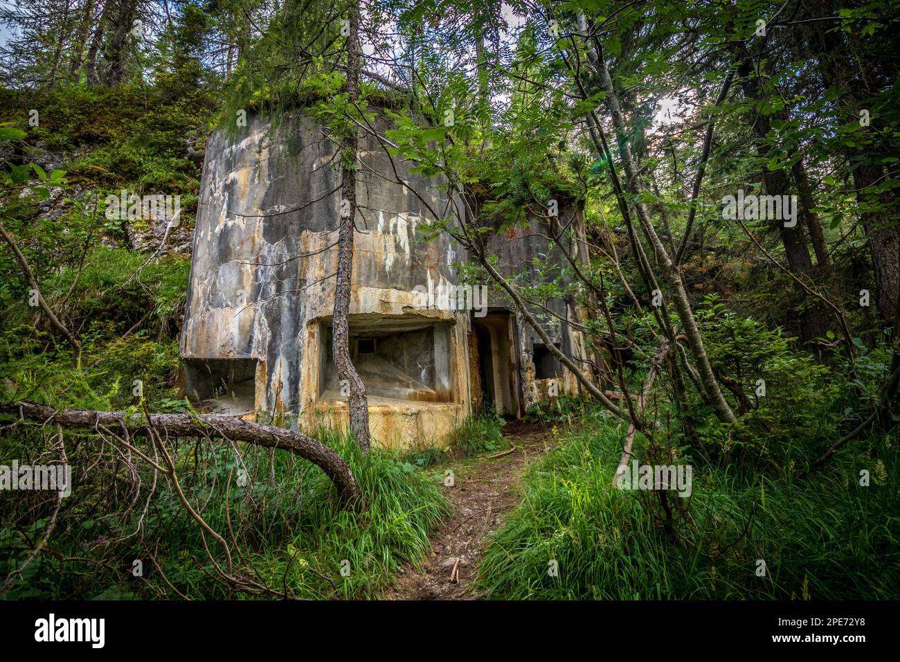 Abandoned, destoyed concrete bunker with embrasure in summer forest ...