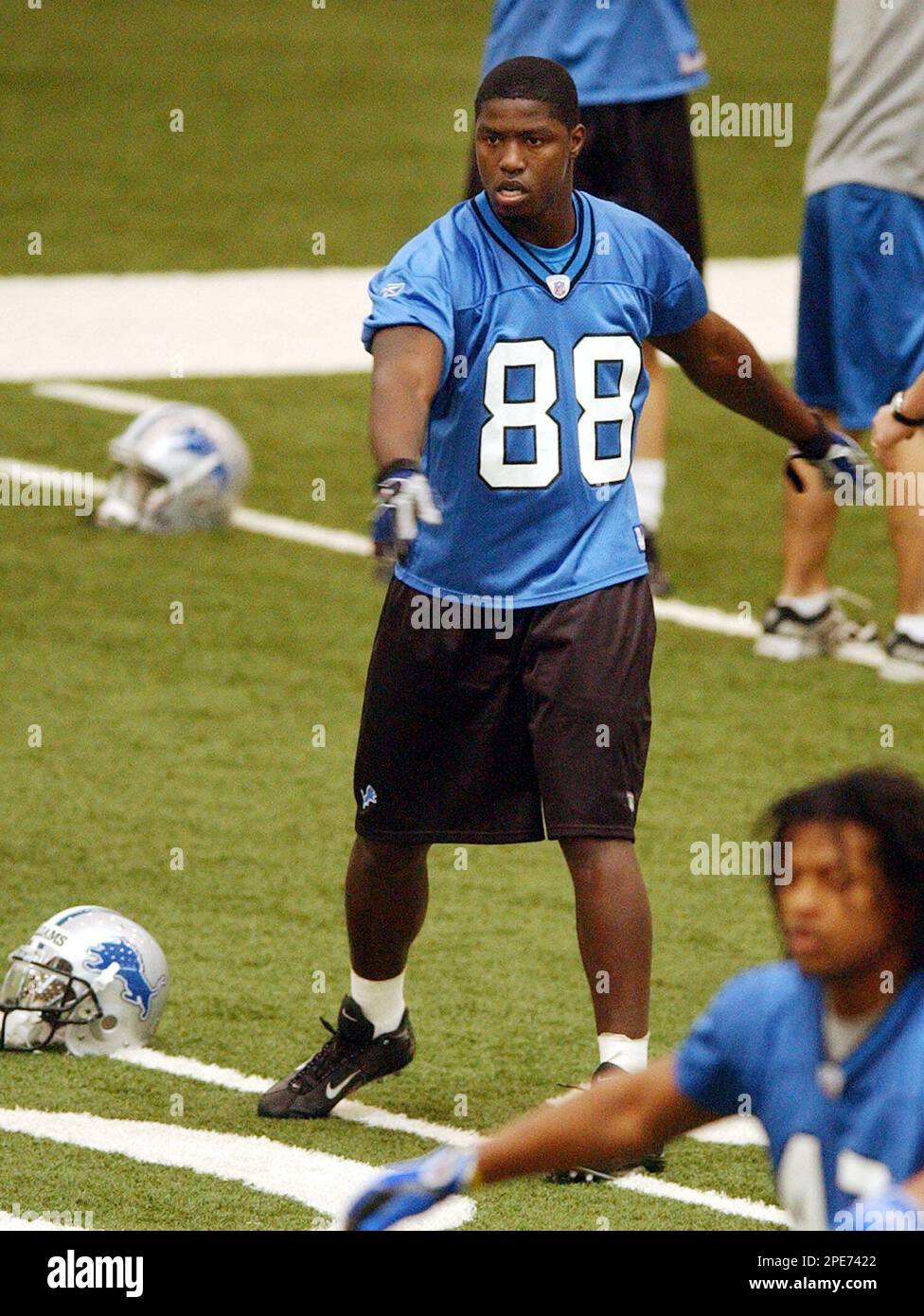 Mike Williams Lions