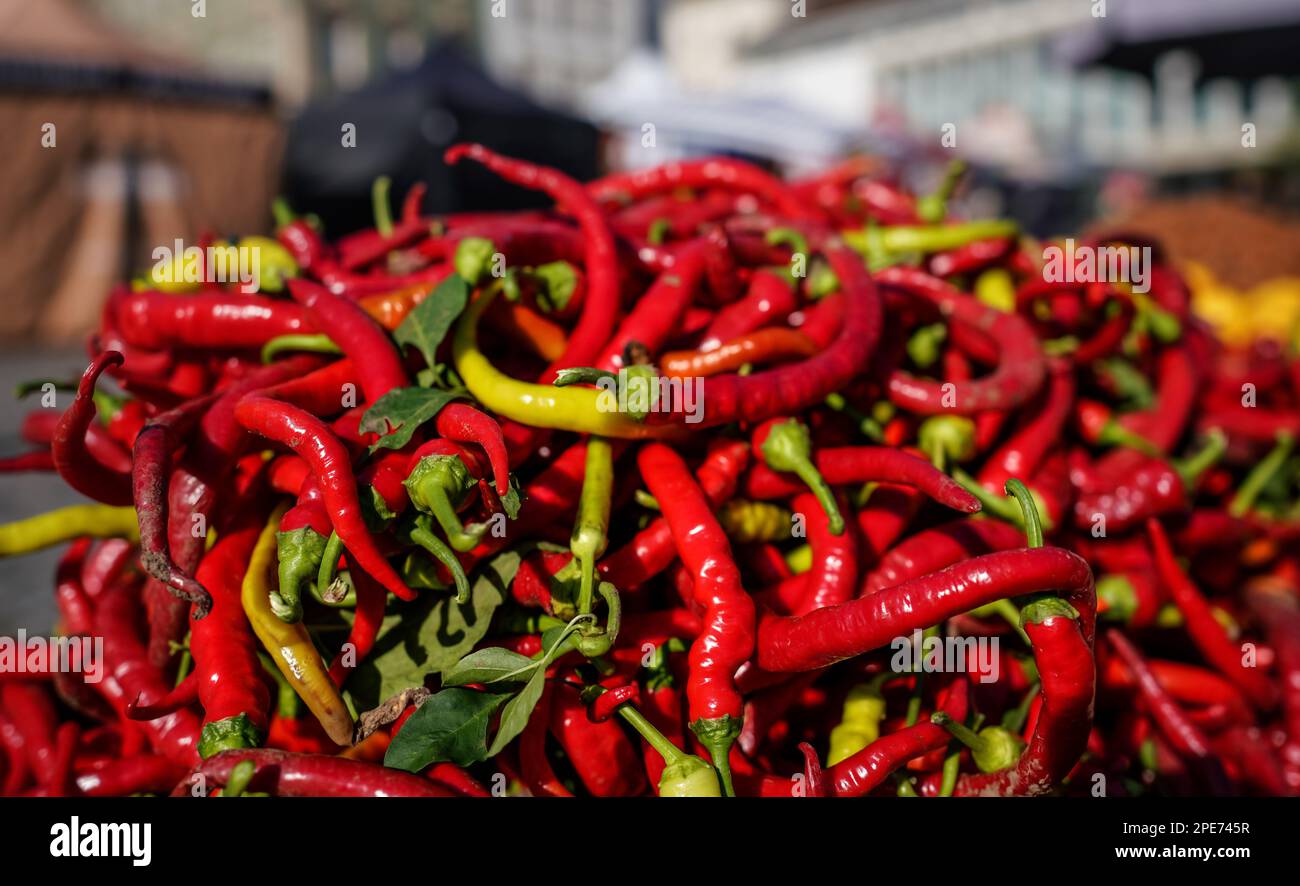 Sun shines to pile of twisted long red hot peppers on display at street ...