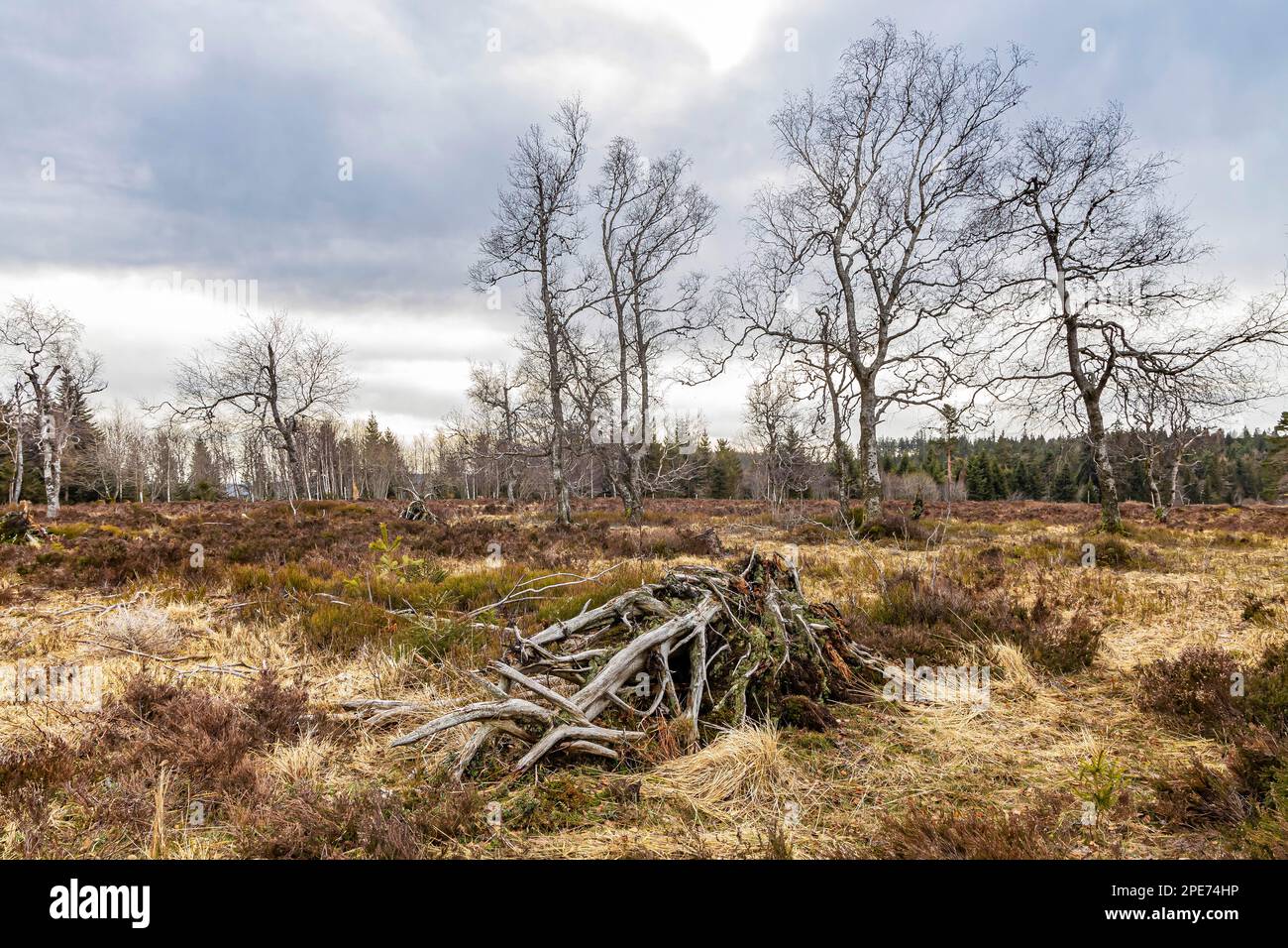 High moorland landscape hi-res stock photography and images - Alamy