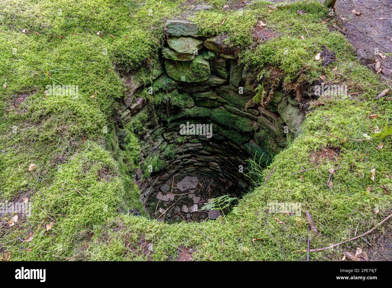 Wolf pit in the northern Black Forest for hunting wolves in the 19th ...