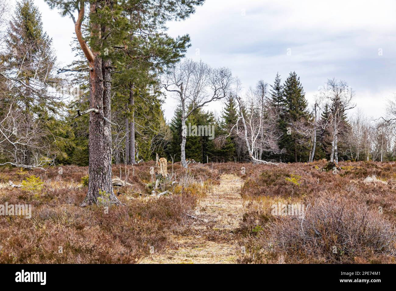 High moorland landscape hi-res stock photography and images - Alamy