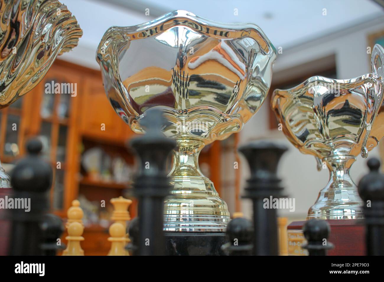 the winners in chess and the winners in life will take their trophies ...