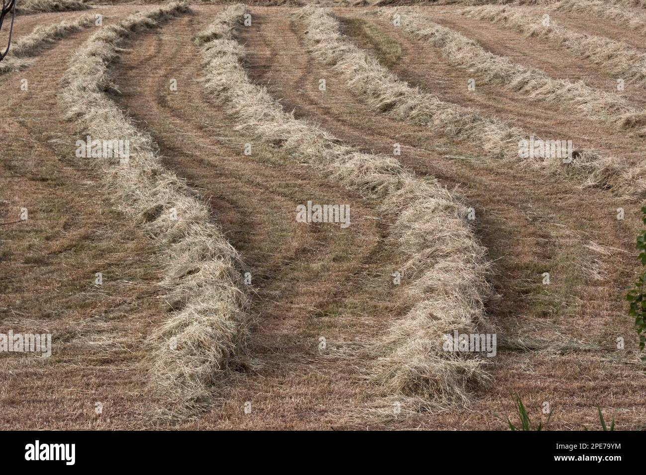 Baling plant hi-res stock photography and images - Alamy