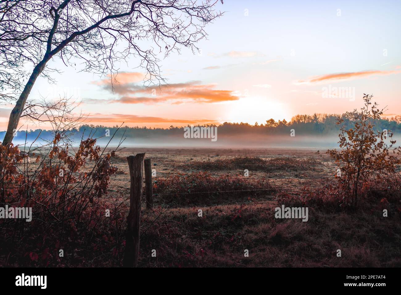 Early in the morning, rising sun with a morning mist, the dew over the ...