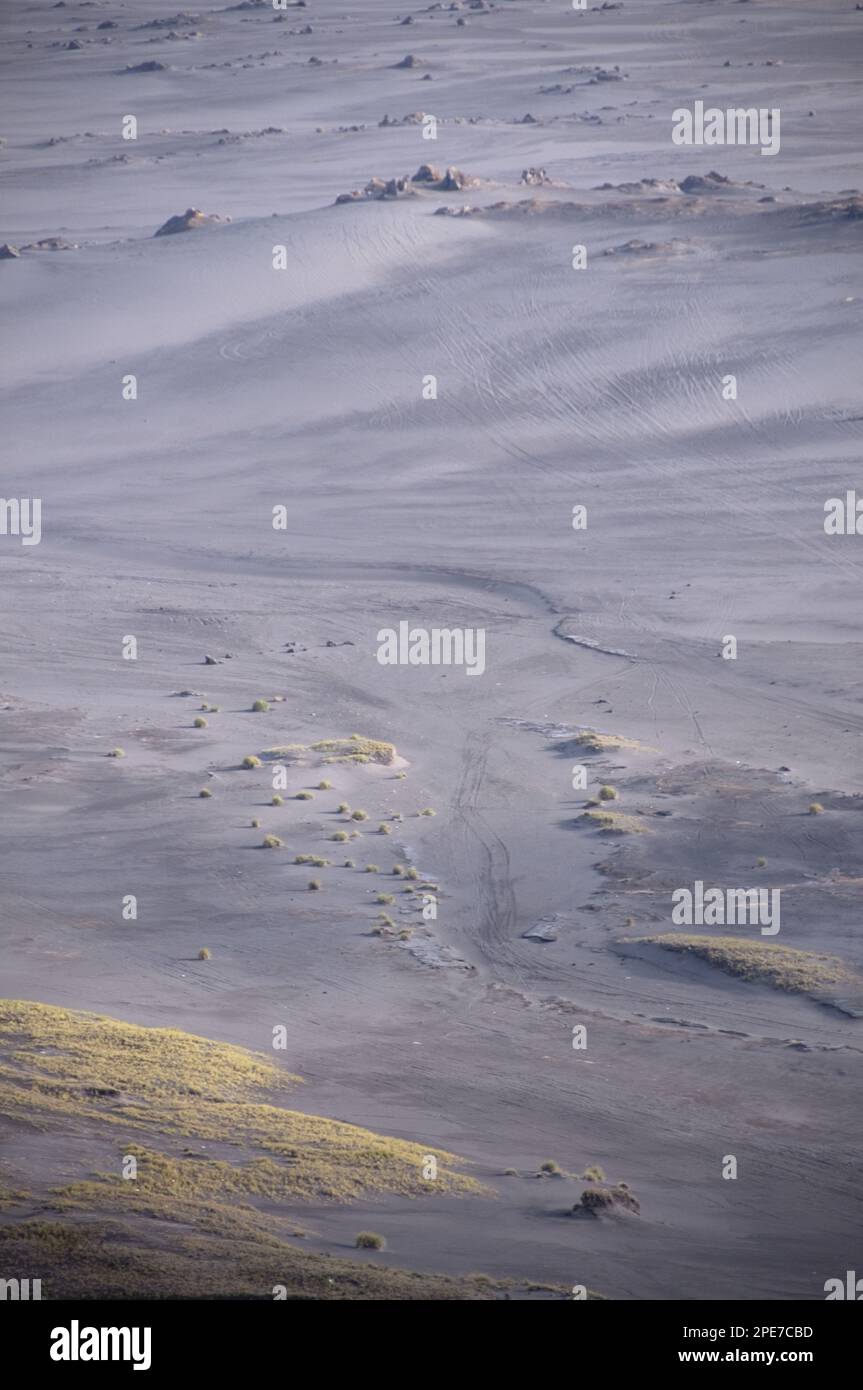 Sand plain surrounding volcanoes, 'Sea of Sand', near Mount Bromo and ...