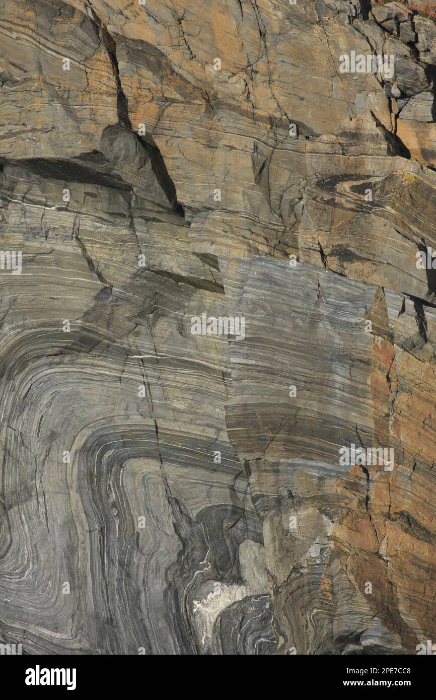 Twisted Lewisian Gneiss, Precambrian metamorphic rock outcrop, Butt of ...