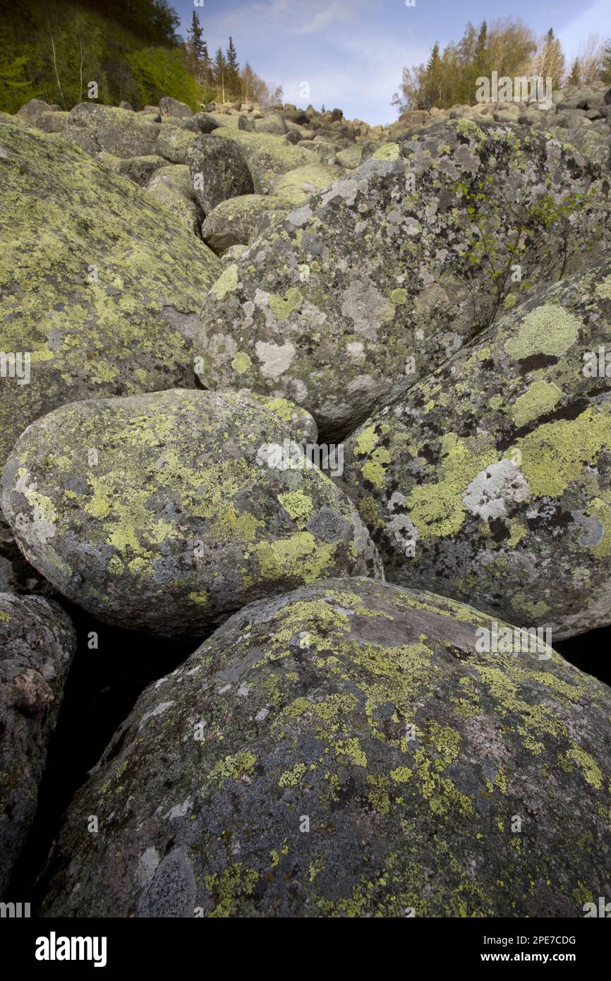 Granite boulders in 'stone run', peculiar geomorphological phenomenon ...