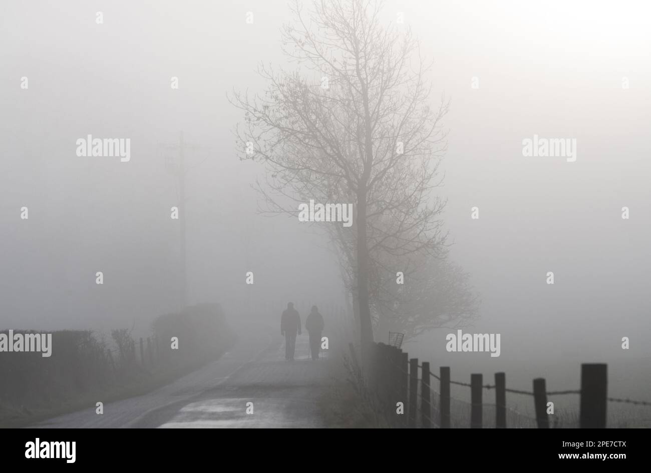 Two walkers walking on the road in fog, Little Bowland Road, Whitewell ...