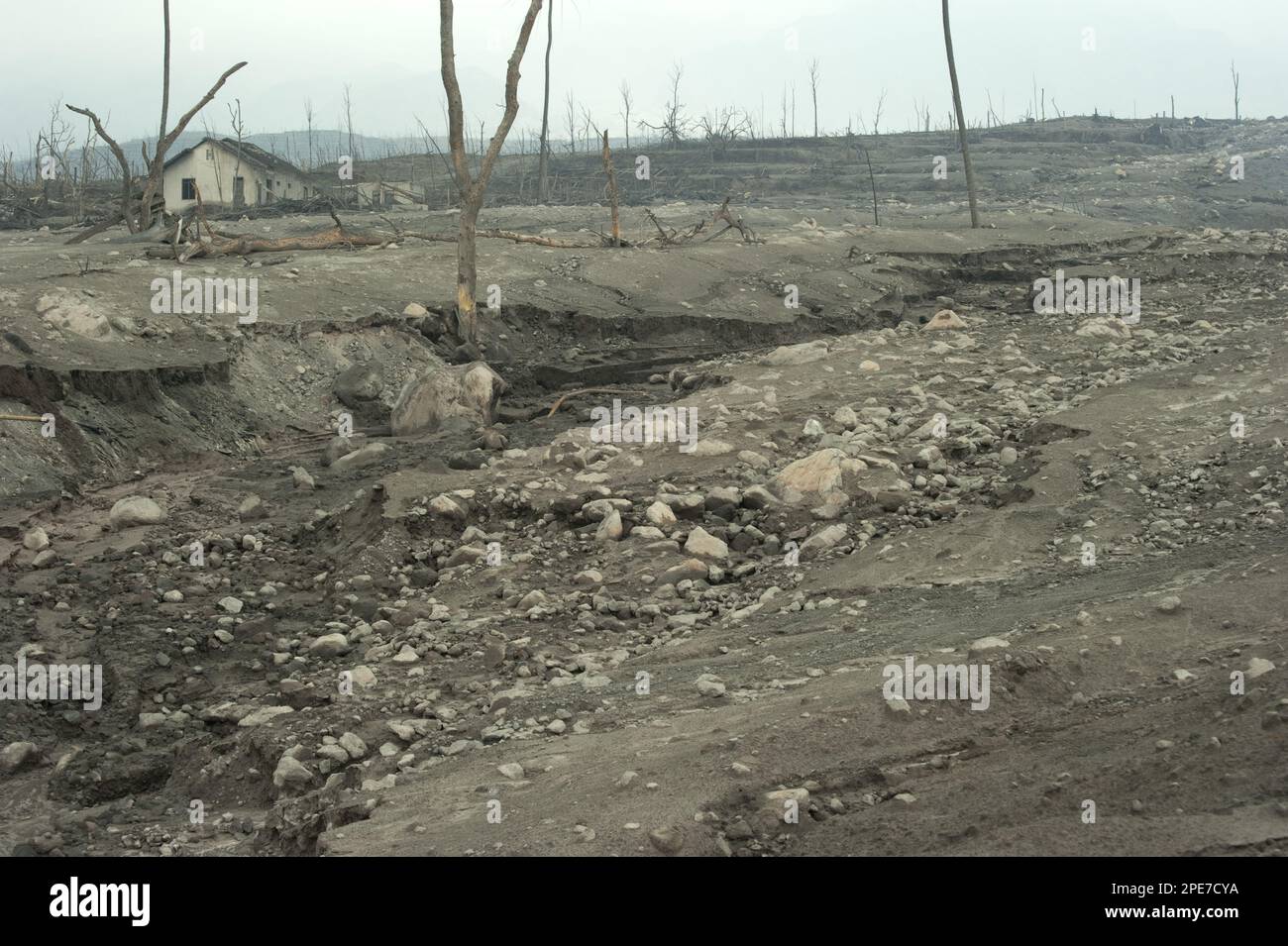 Riverbed and field covered with ash, damaged houses and dead trees ...
