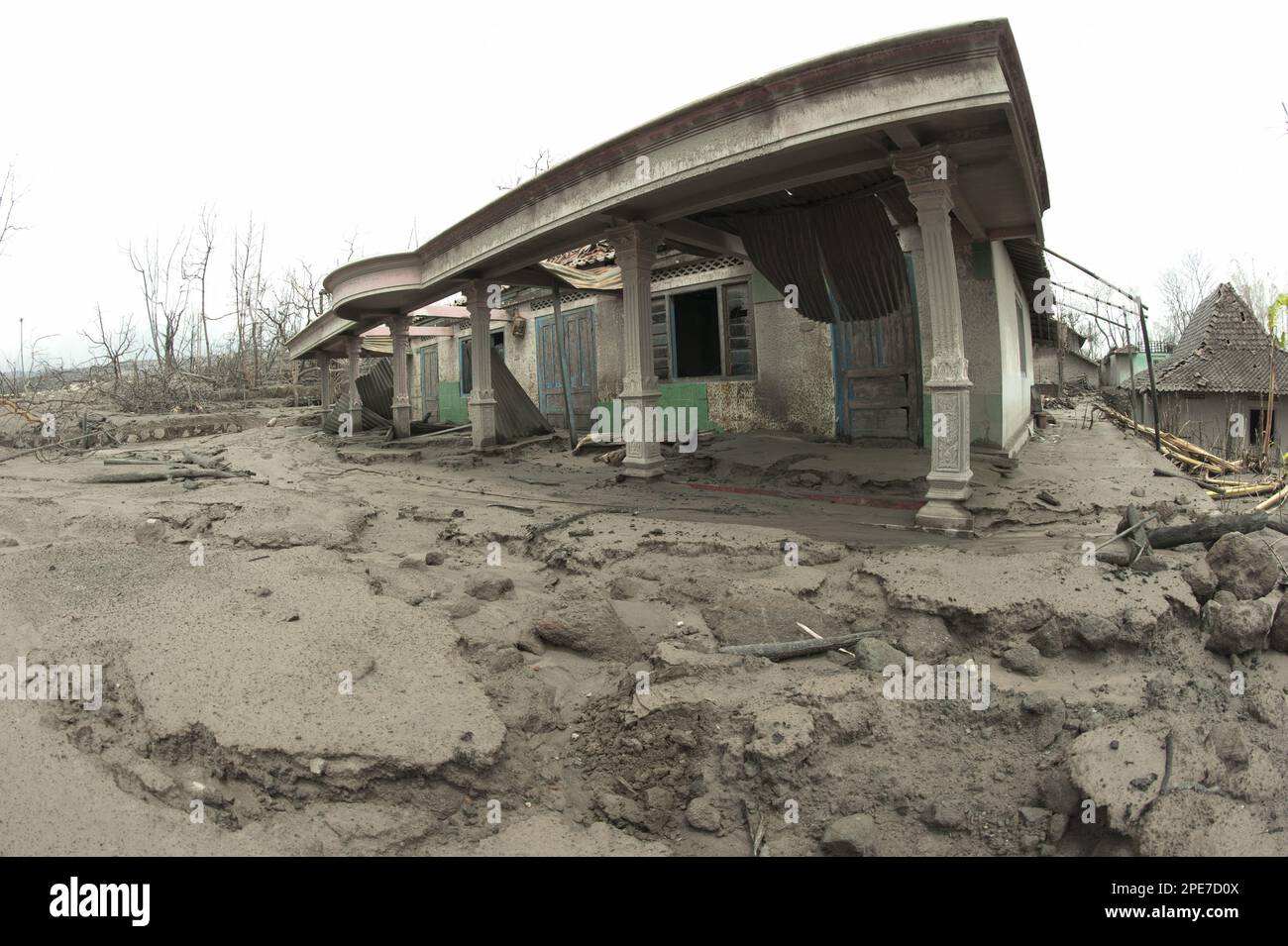 Road covered with ash, dead trees and damaged houses from the recent ...