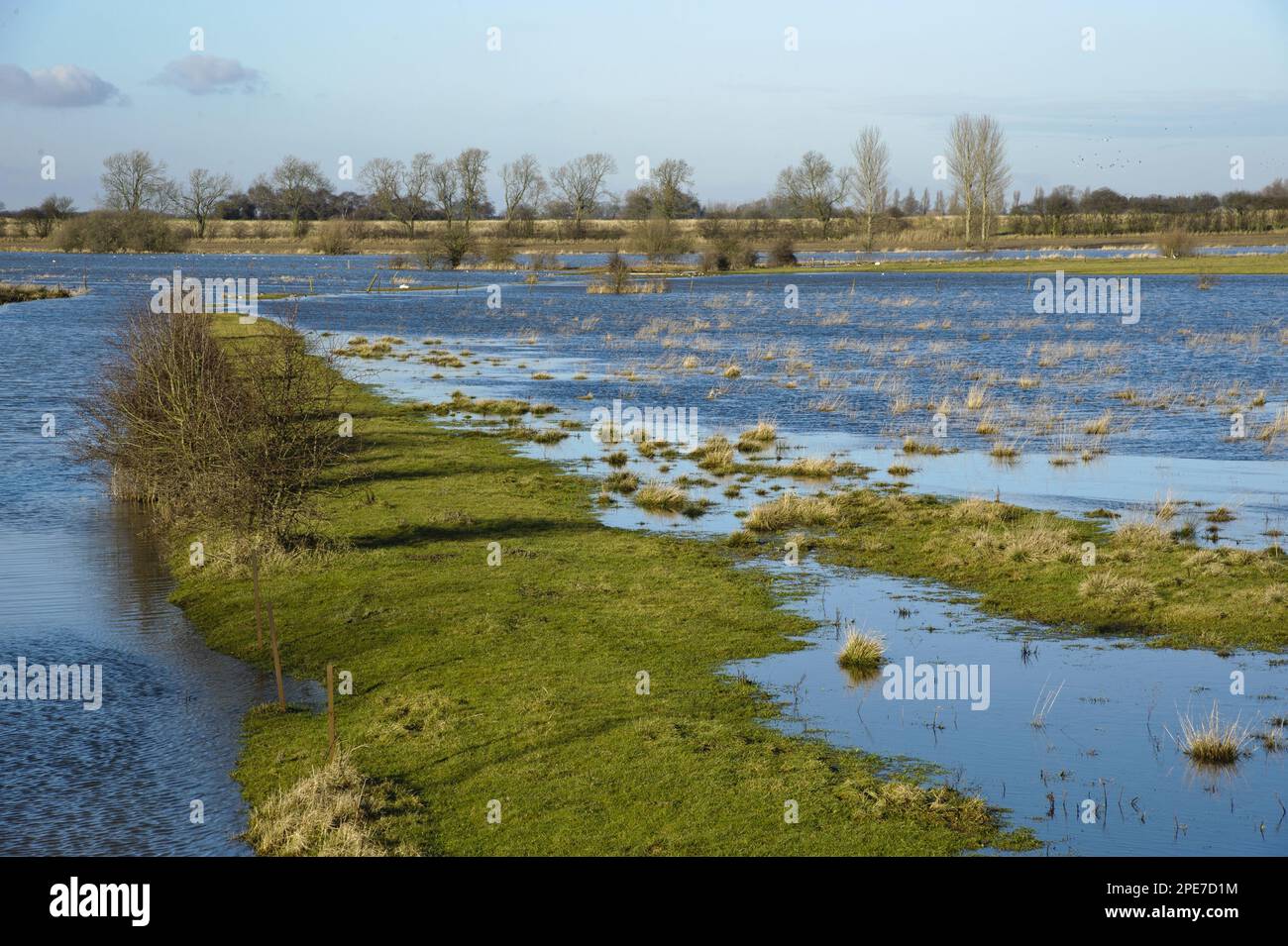 View of a river flooding farmland, River Derwent, Bubwith, Selby, East ...