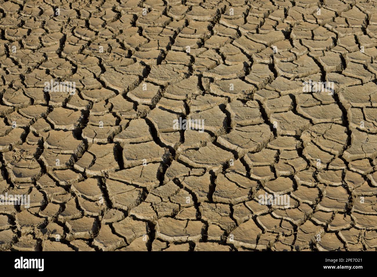 Dried and cracked mud, Portugal Stock Photo - Alamy