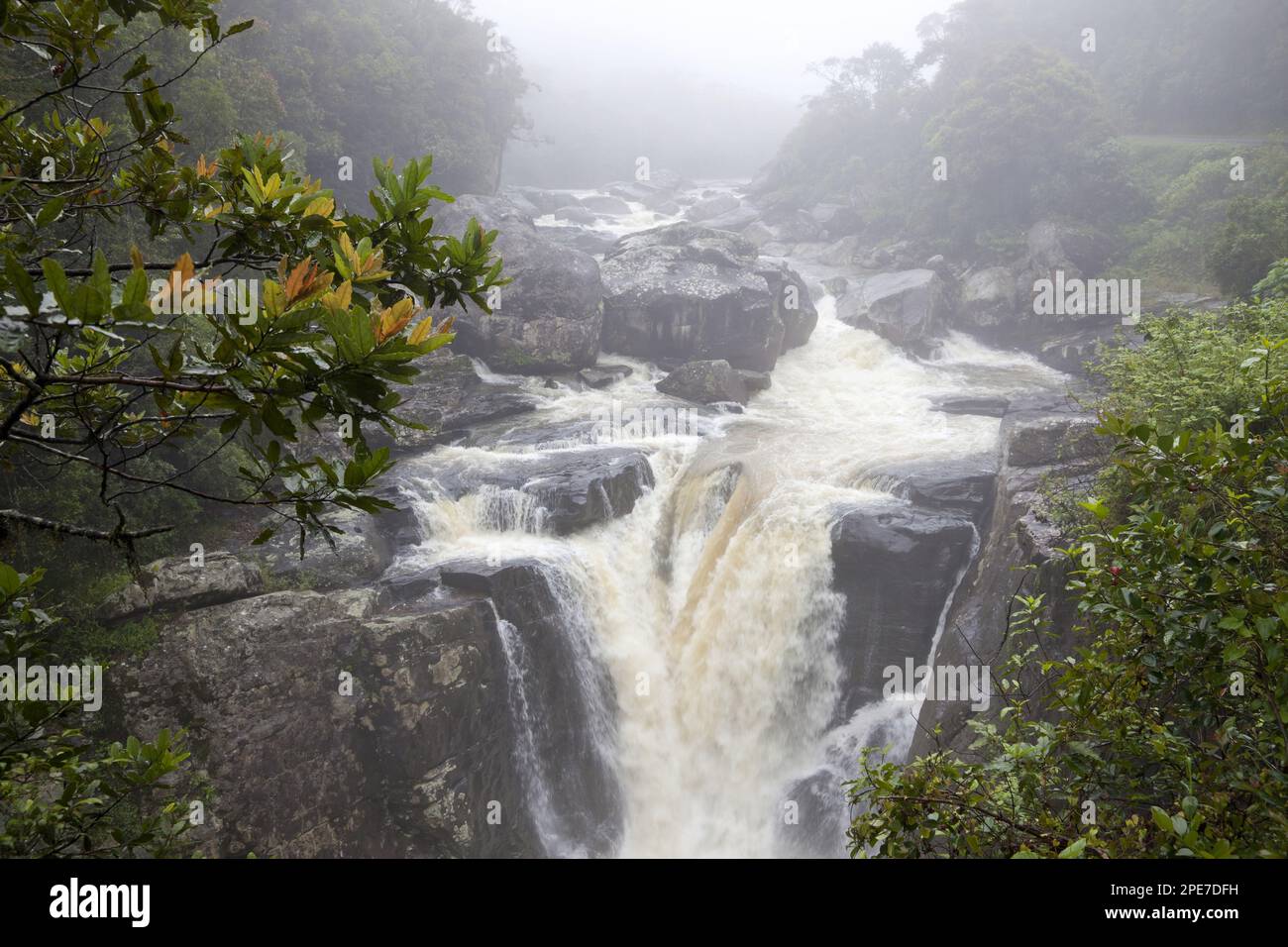 View of a waterfall in the rainforest, Ranomafana N. P. Madagascar ...