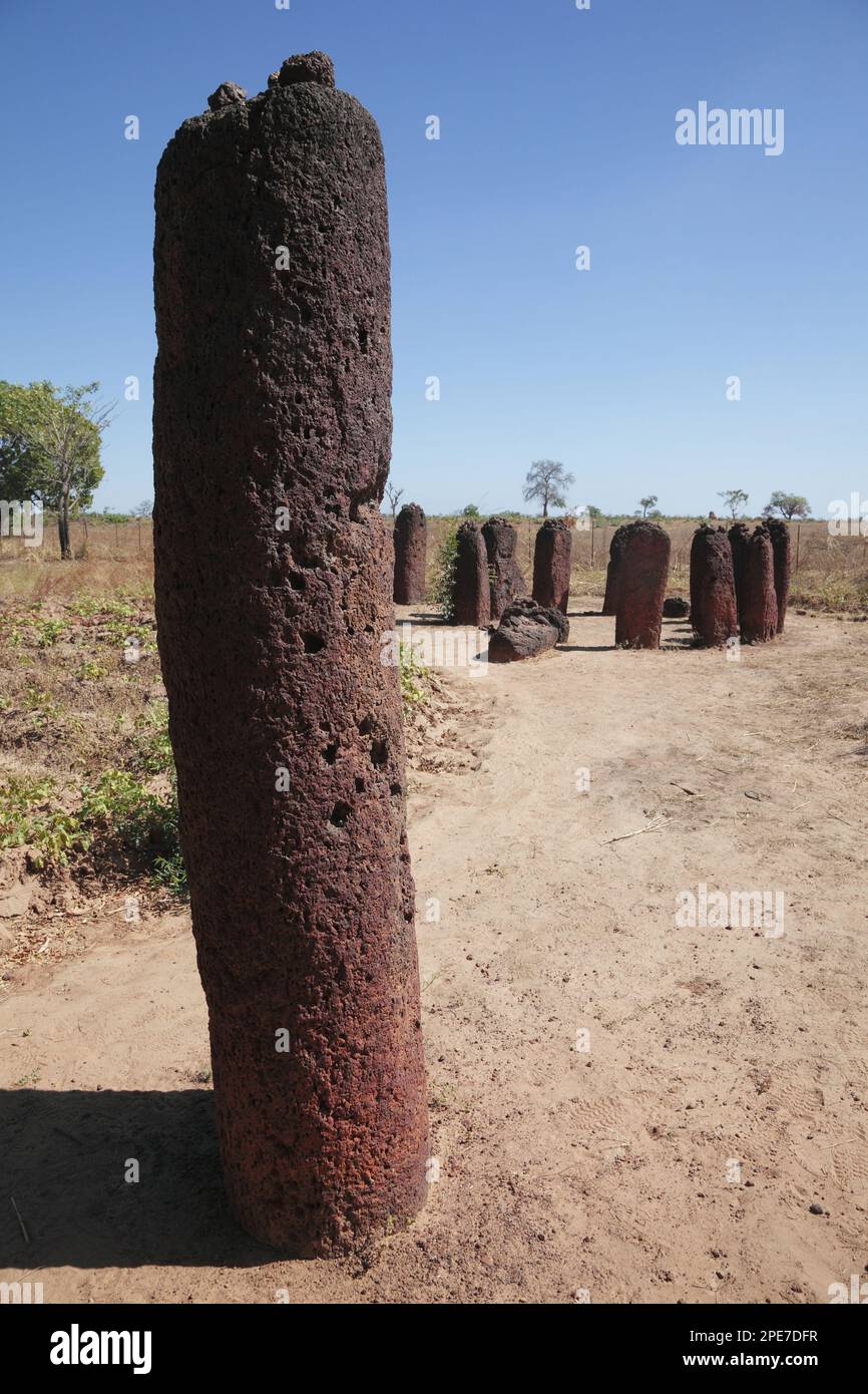 Stones marking burial site, Wassu stone circles, Gambia Stock Photo - Alamy
