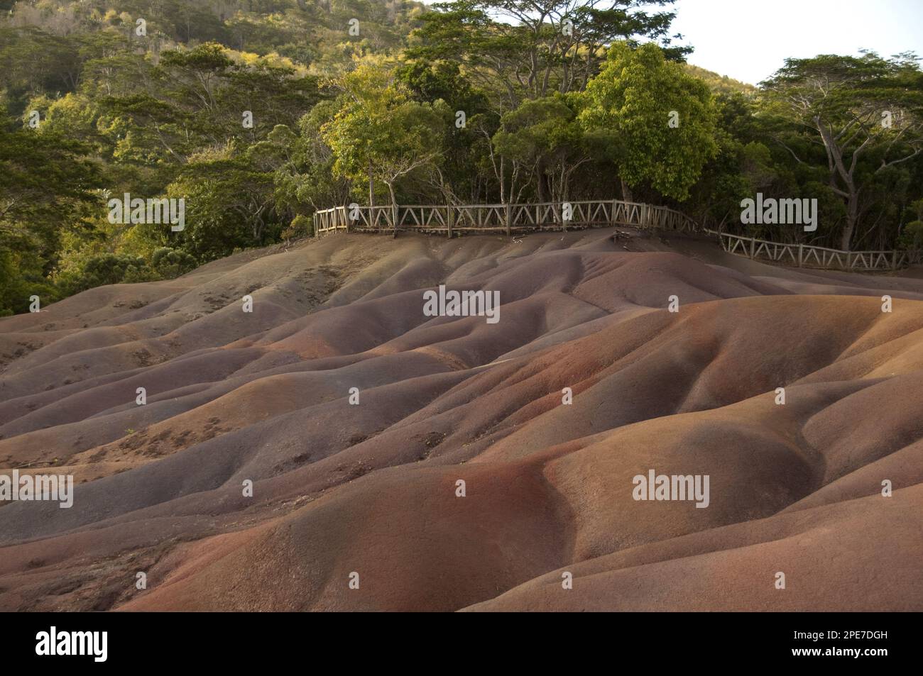 Ferralitic soil hi-res stock photography and images - Alamy