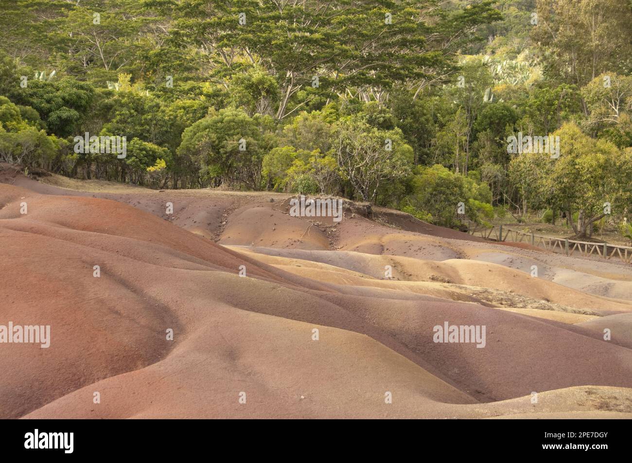 View of sand dunes comprising of different coloured sands, caused by ...