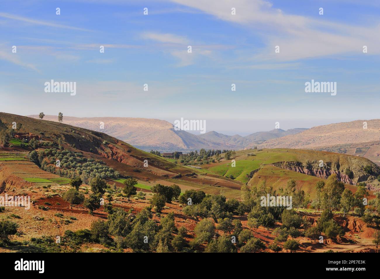 View of farmland and hills, Ait-Ourir, Al Haouz Province, Morocco Stock ...