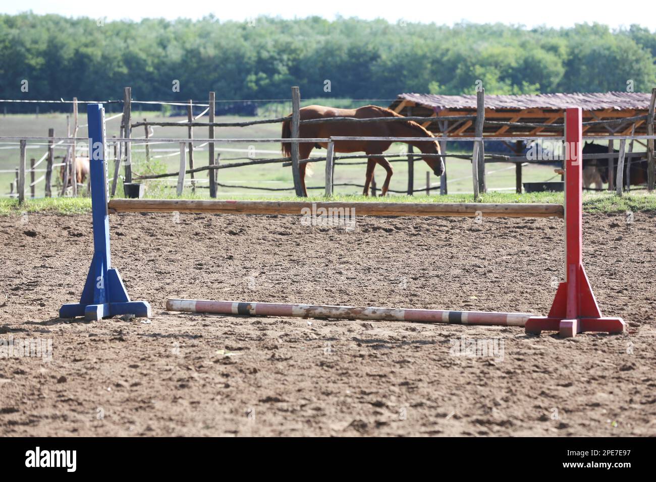 Show jumping poles obstacles, barriers, waiting for riders on show ...