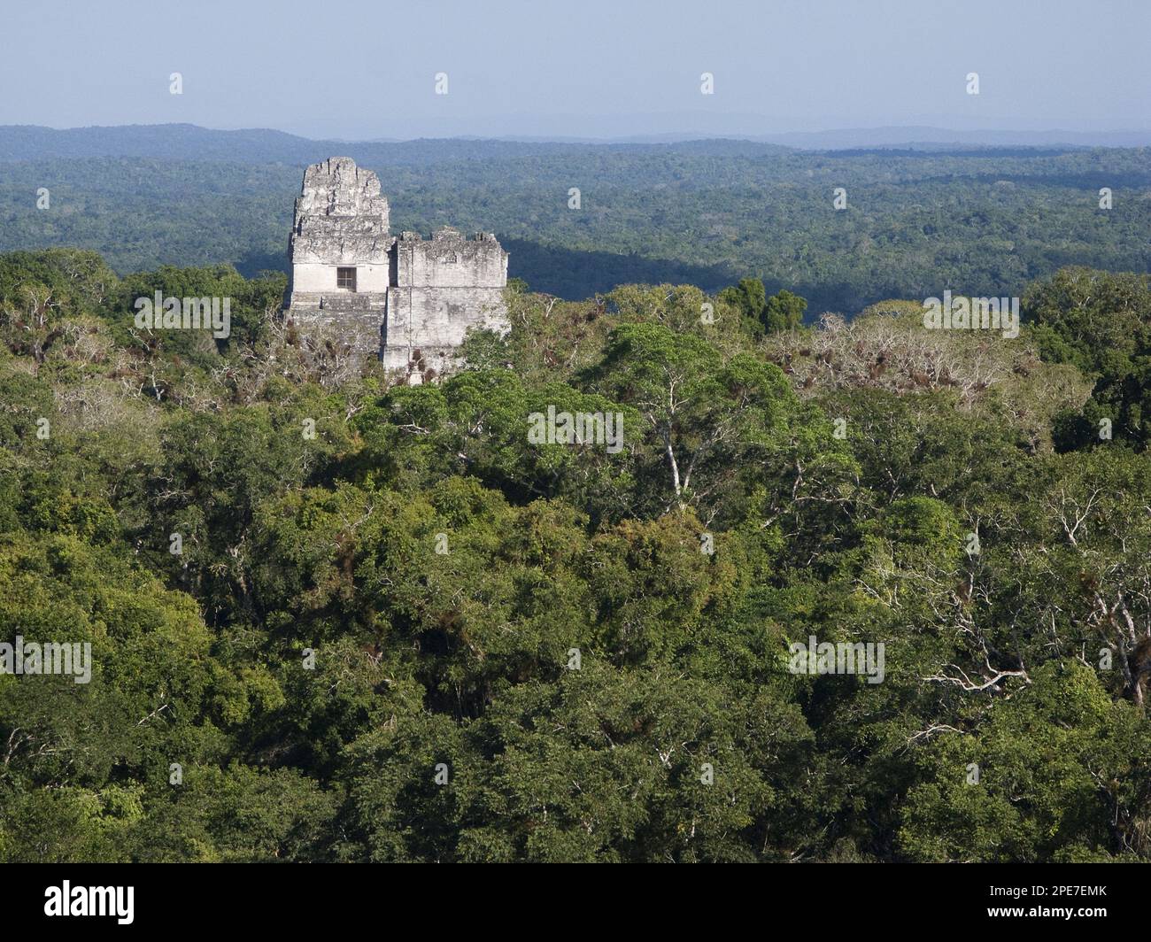 View of the ancient Mayan ruined city and lowland tropical forest ...