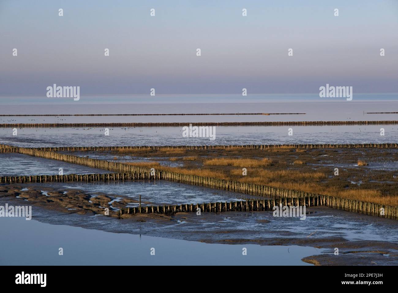 Groynes at rising water in the Wadden Sea National Park. The Wadden Sea ...