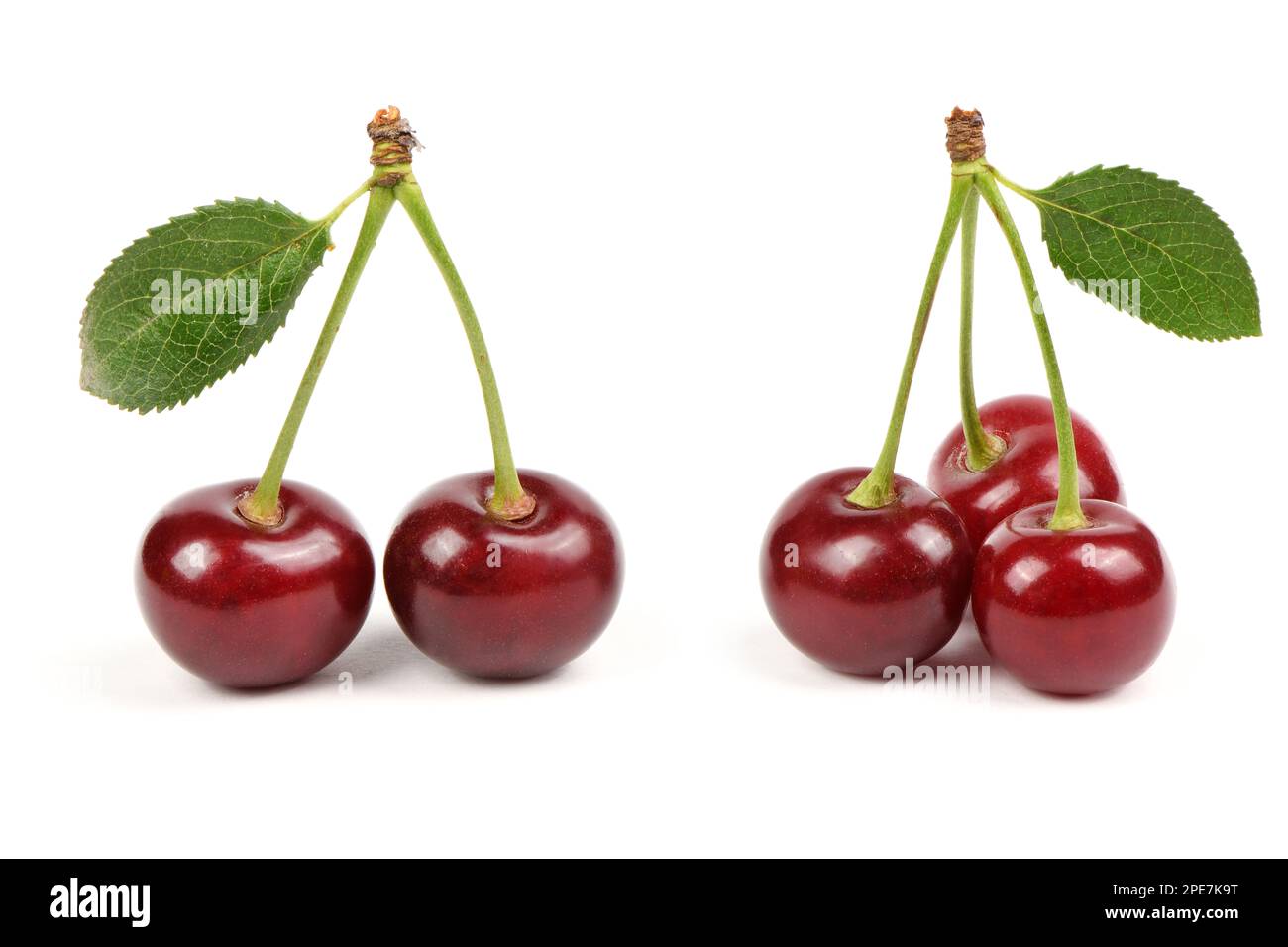 Collection of cherries with green leaf isolated on white background ...