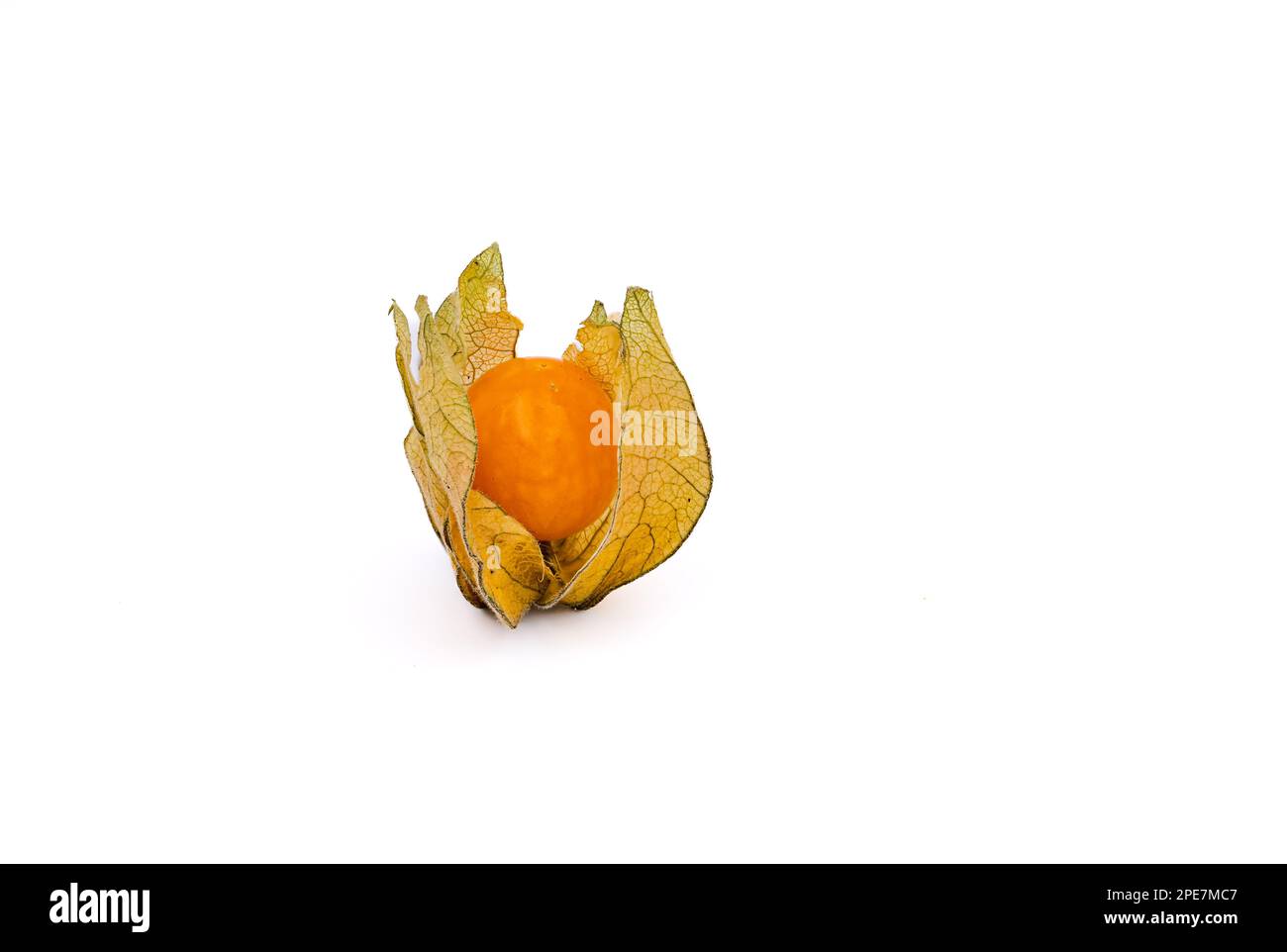 An orange Cape Gooseberry or Physalis for healthy eating isolated ...