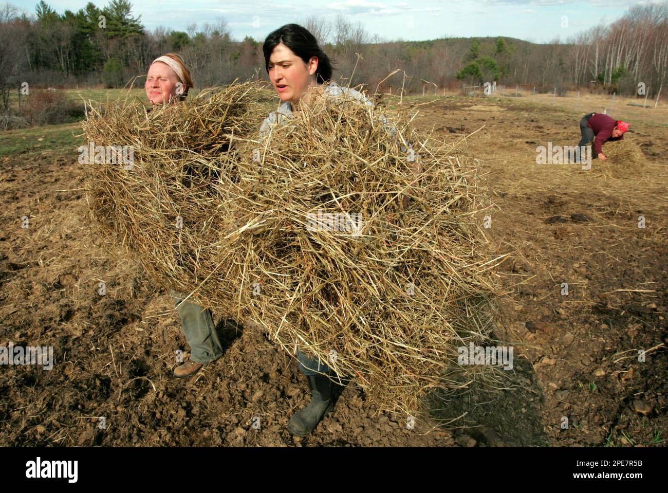 Farm School students, from the left, Jessica Farwell, of Orange, Mass ...