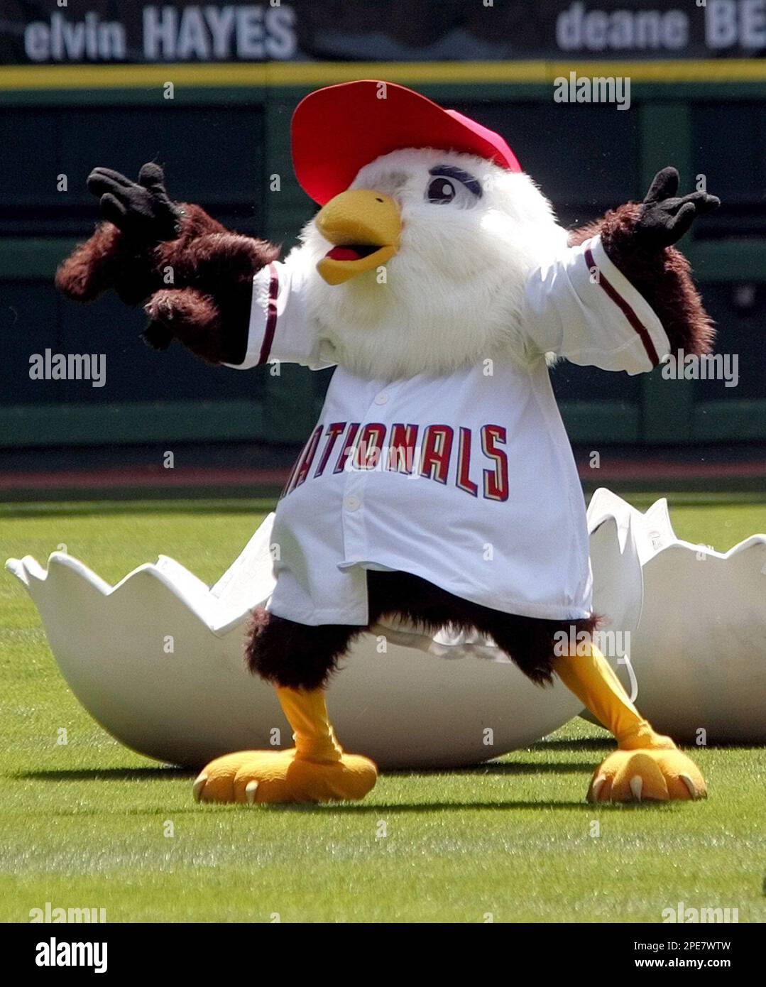 The Washington Nationals new mascot Screech, an oversized baby eagle ...