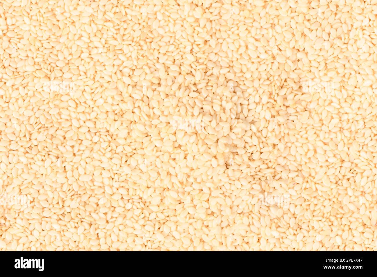 Seamless texture or wallpaper, Sesame seeds from above. High resolution ...