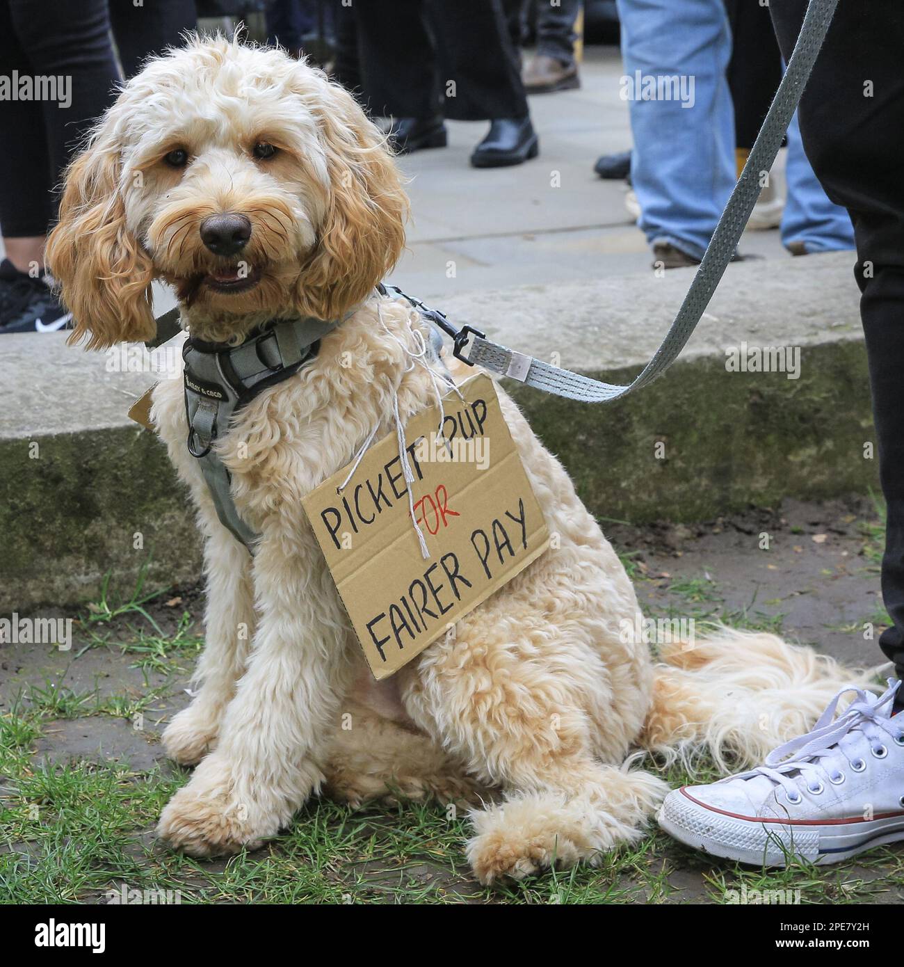 London, UK. 15th Mar, 2023. A "picket pup for fairer pay" at the rally ...