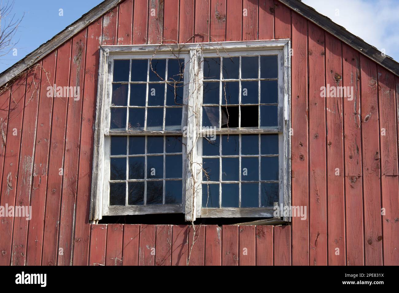 Abandoned, red barn with broken windows. Building has white trim and is ...