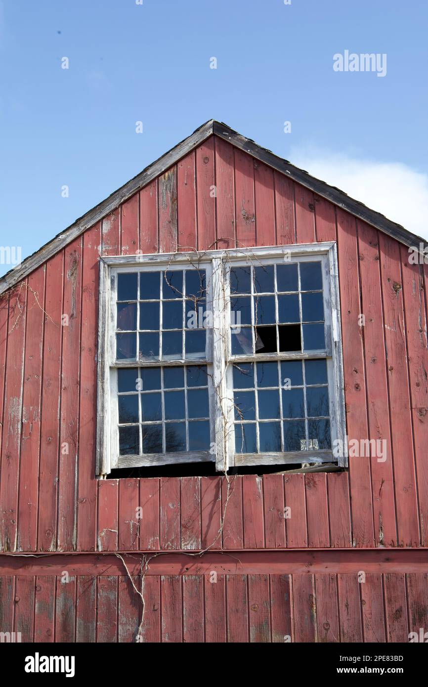 Abandoned, red barn with broken windows. Building has white trim and is ...