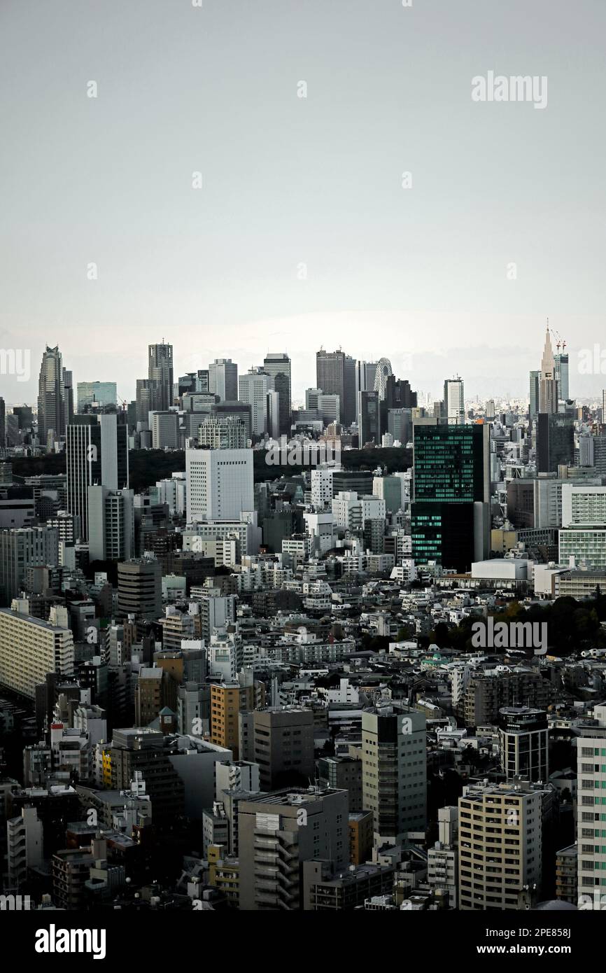 Panoramic view of Tokyo in a cloudy sky Shibuya residential area and ...