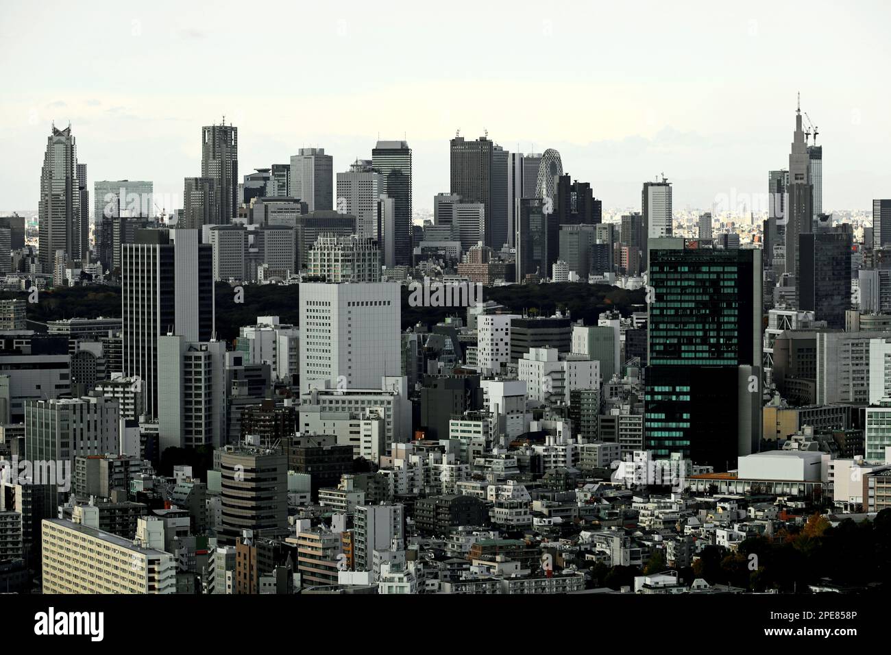 Panoramic view of Tokyo in a cloudy sky Shibuya residential area and ...