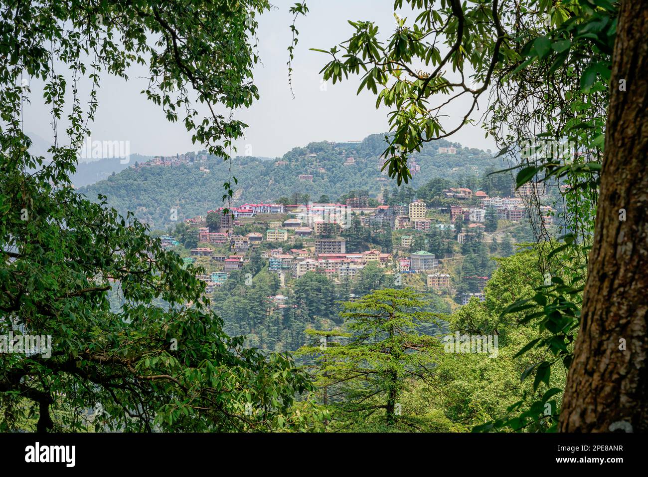 Cityscape of Shimla, the state capital of Himachal Pradesh located in ...