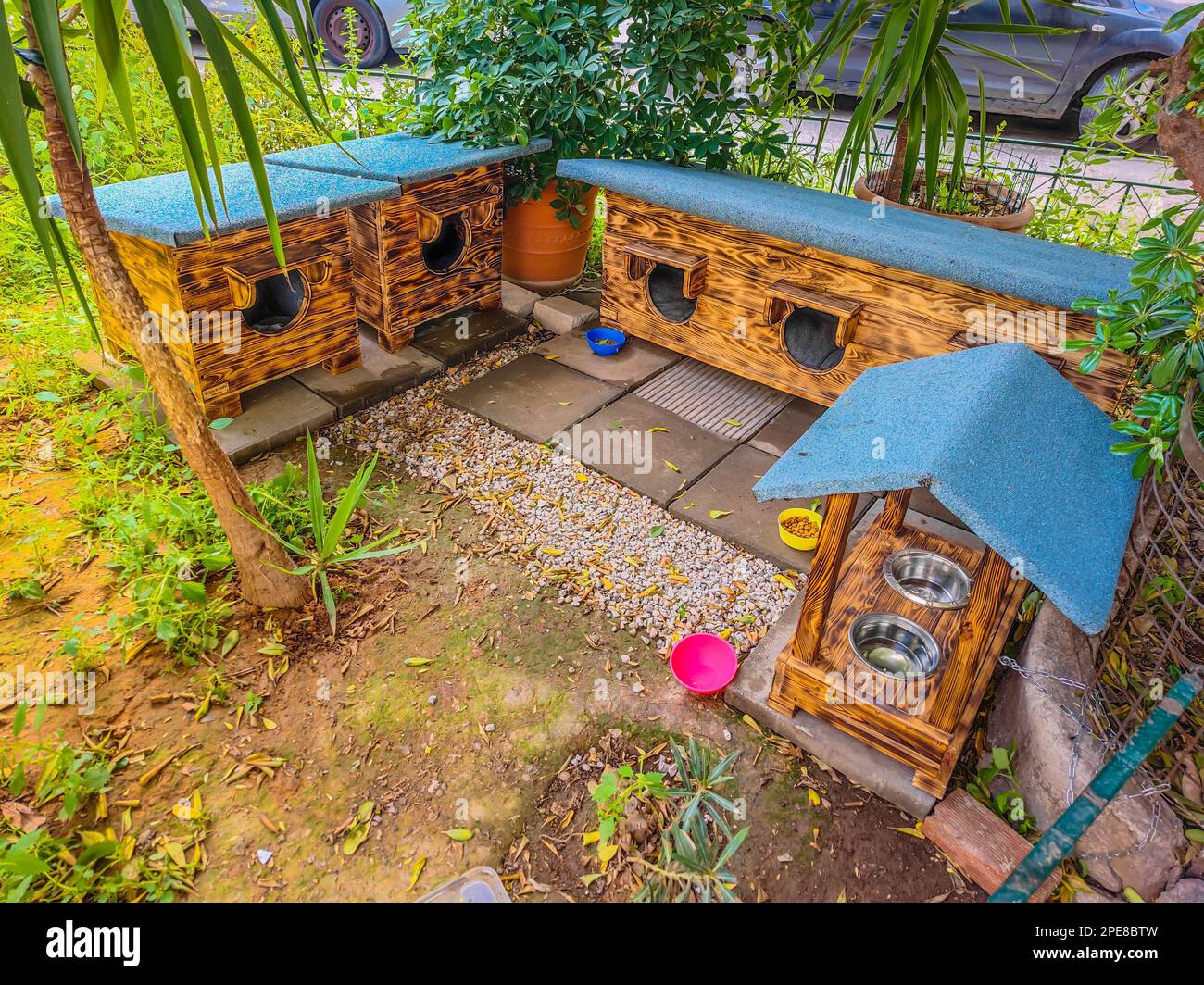 Self made shelters for feral cats and dogs by local volunteers and ...