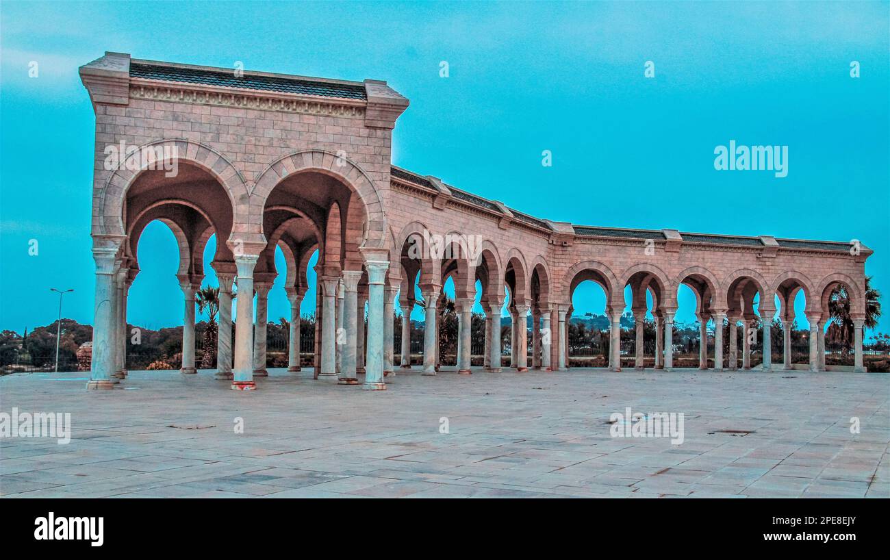Carthage mosque tunisia hi-res stock photography and images - Alamy