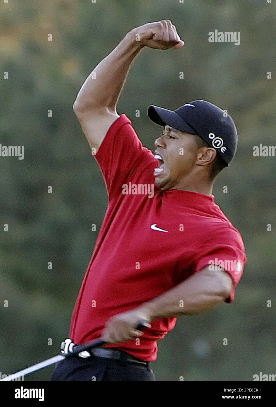 Tiger Woods reacts to winning the 2005 Masters in a playoff with Chris ...