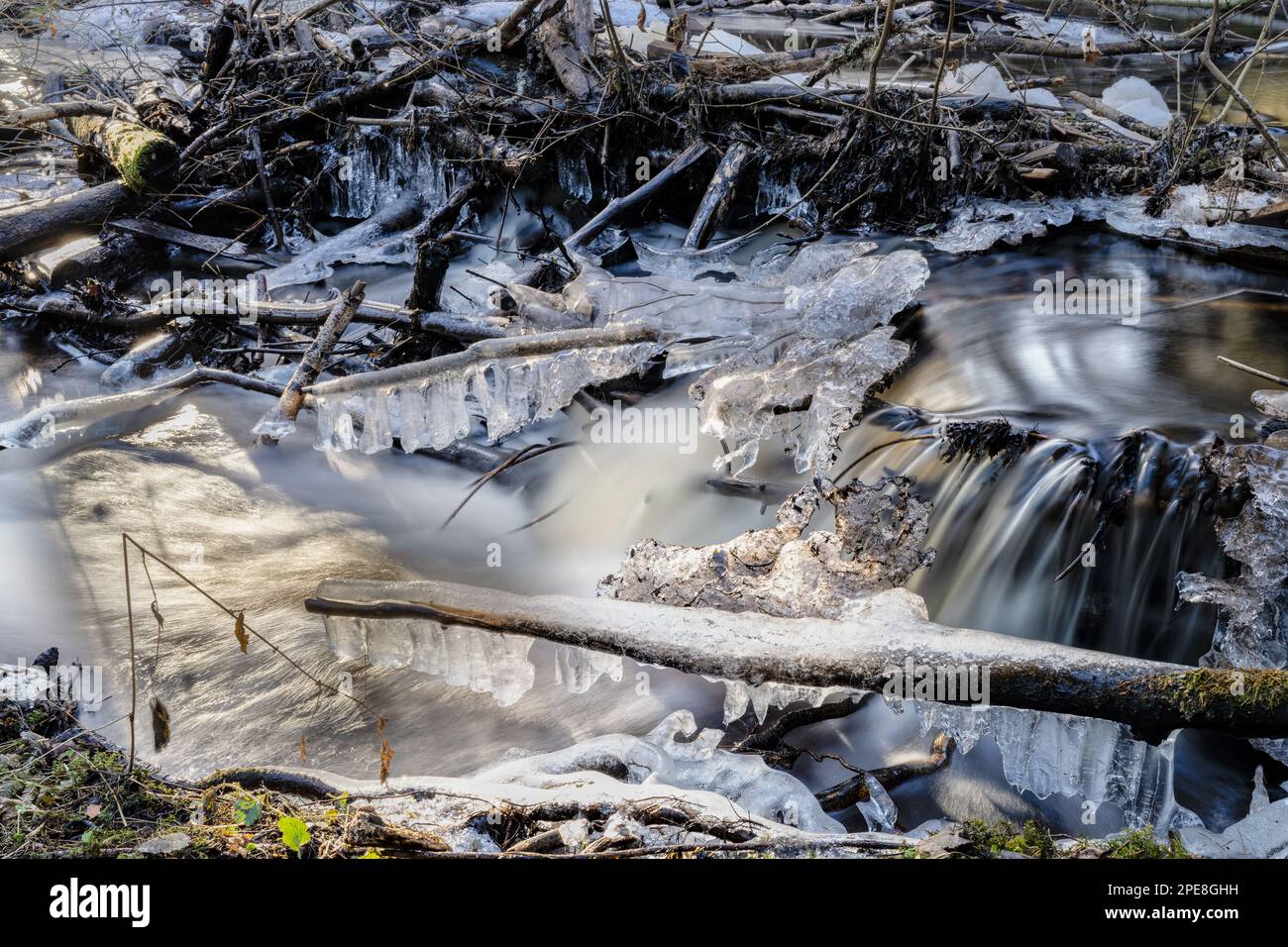 Pure water in stream forest hi-res stock photography and images - Alamy