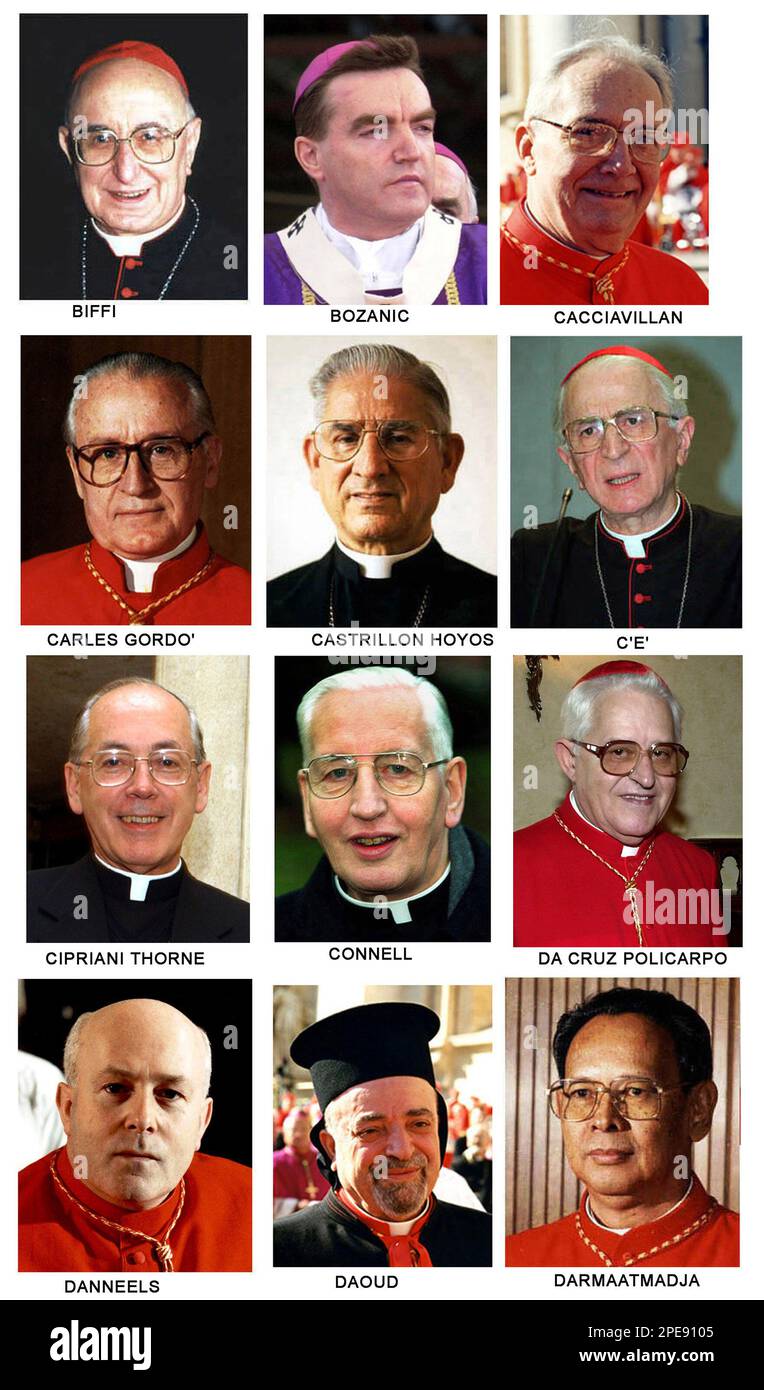 Twelve of the 117 cardinals who will be taking part in the Vatican ...
