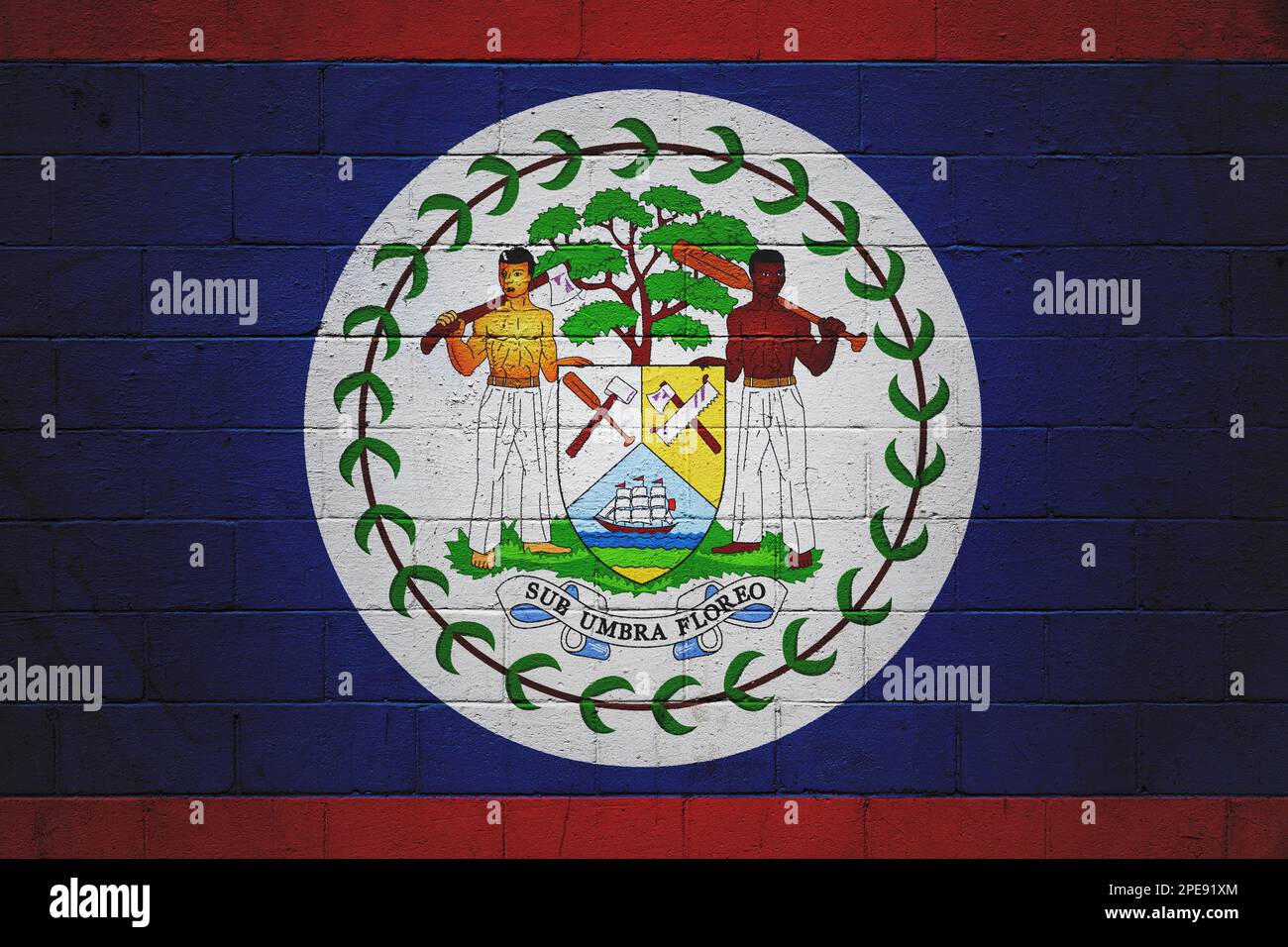 Flag of Belize painted on a cinder block wall Stock Photo - Alamy