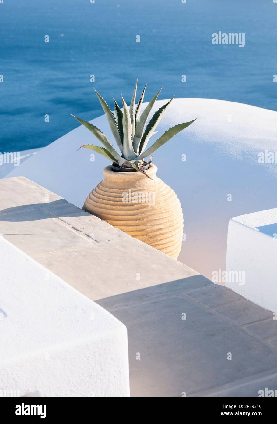 Plant tourism hi-res stock photography and images - Alamy