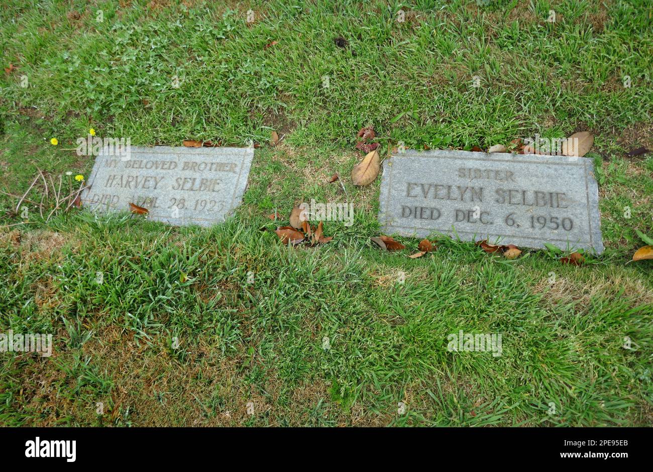 Inglewood, California, USA 11th March 2023 A general view of atmosphere ...