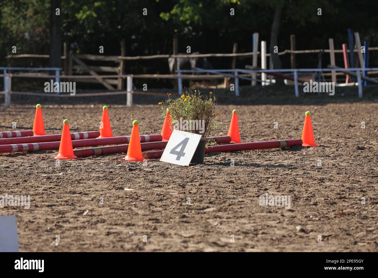 Obstacles and buoys in the sand in an empty equestrian center Stock ...
