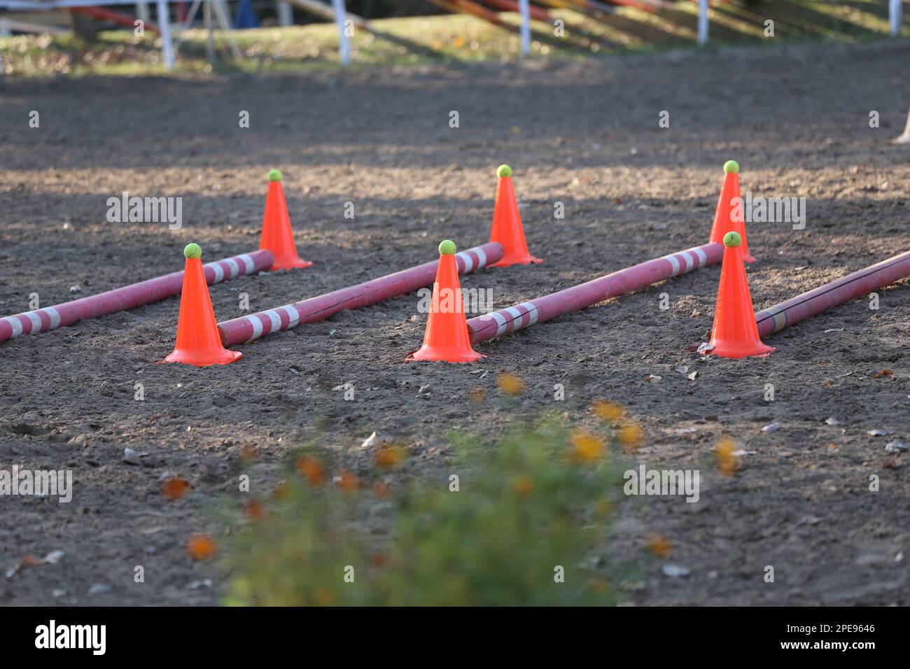 Obstacles and buoys in the sand in an empty equestrian center Stock ...