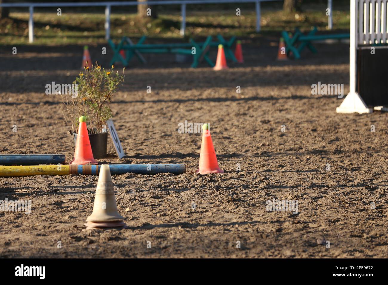 Obstacles and buoys in the sand in an empty equestrian center Stock ...