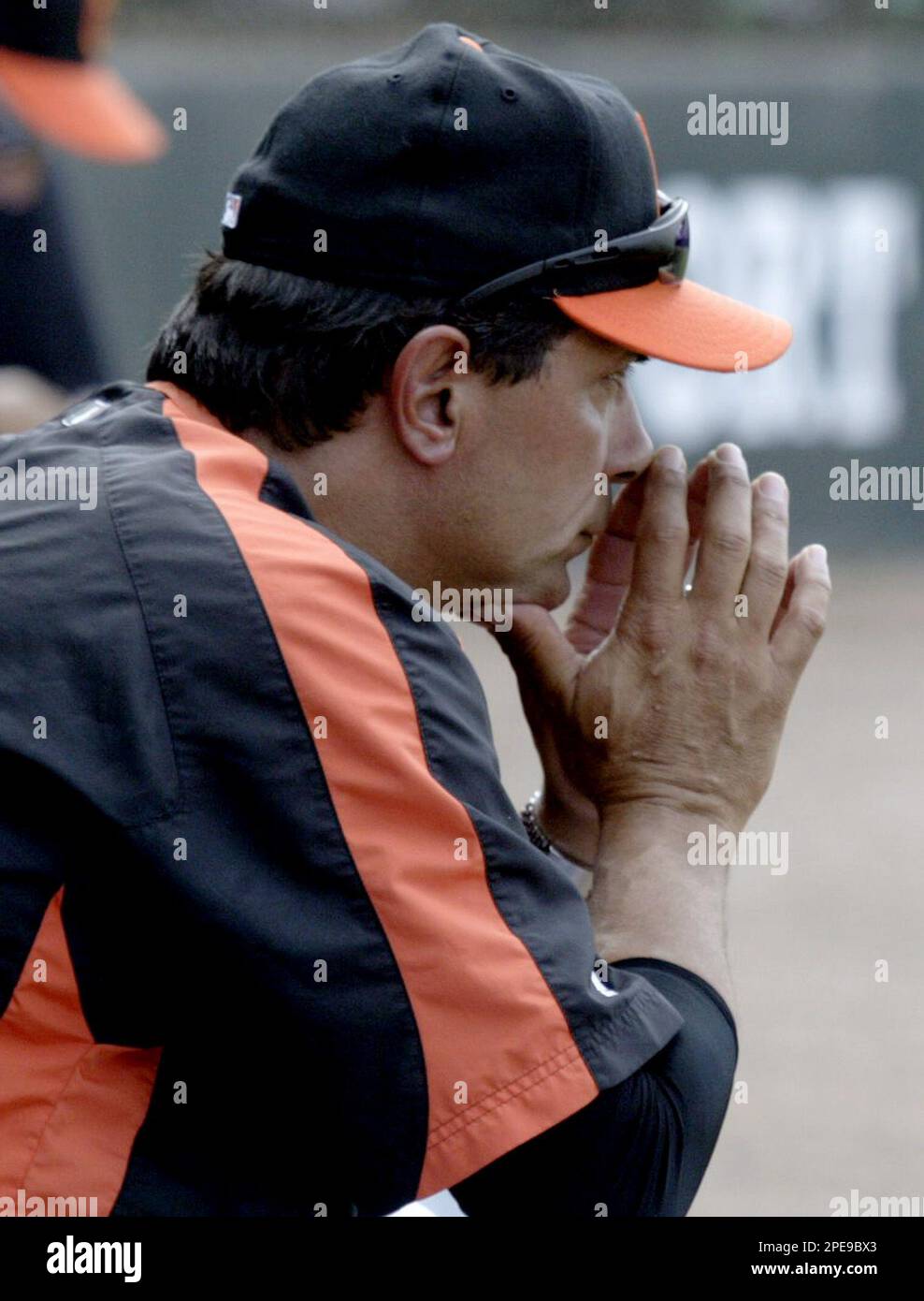 Lee Mazzilli, manager of the Baltimore Orioles, looks out over his team ...